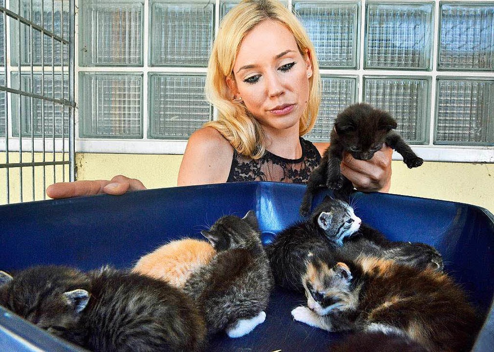 "Nimm mich mit!" - Schülertexte - Badische Zeitung