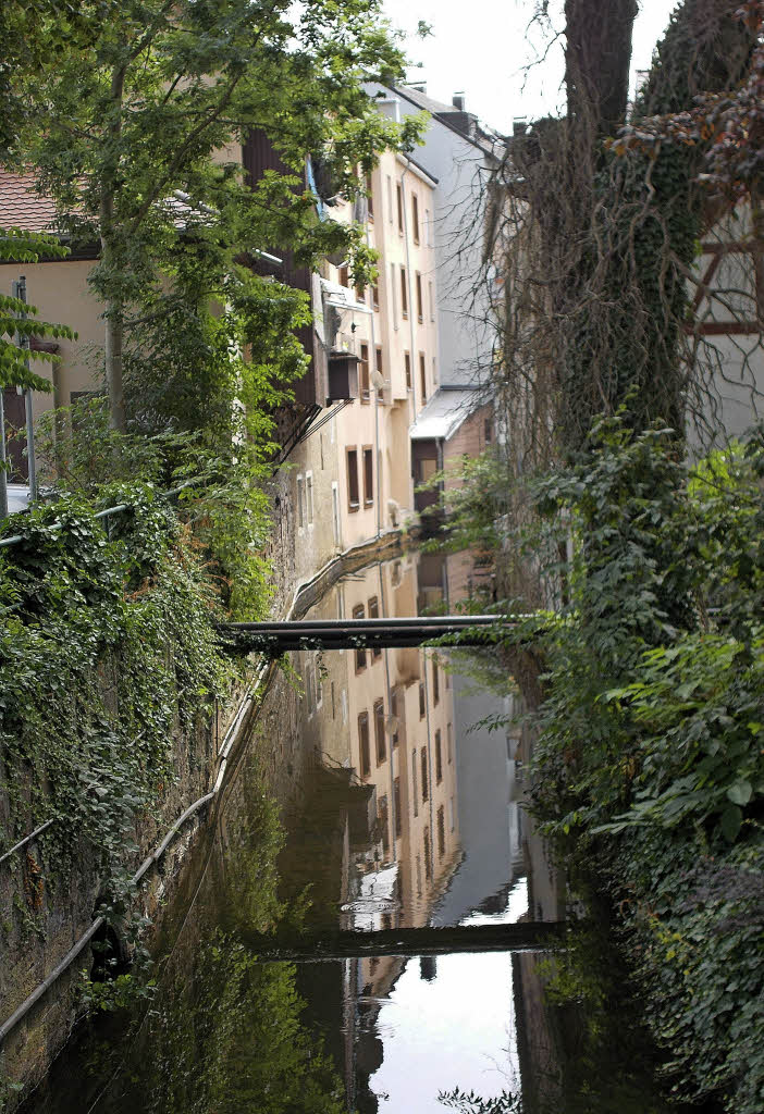 DIE TROCKENHEIT - Emmendingen - Badische Zeitung