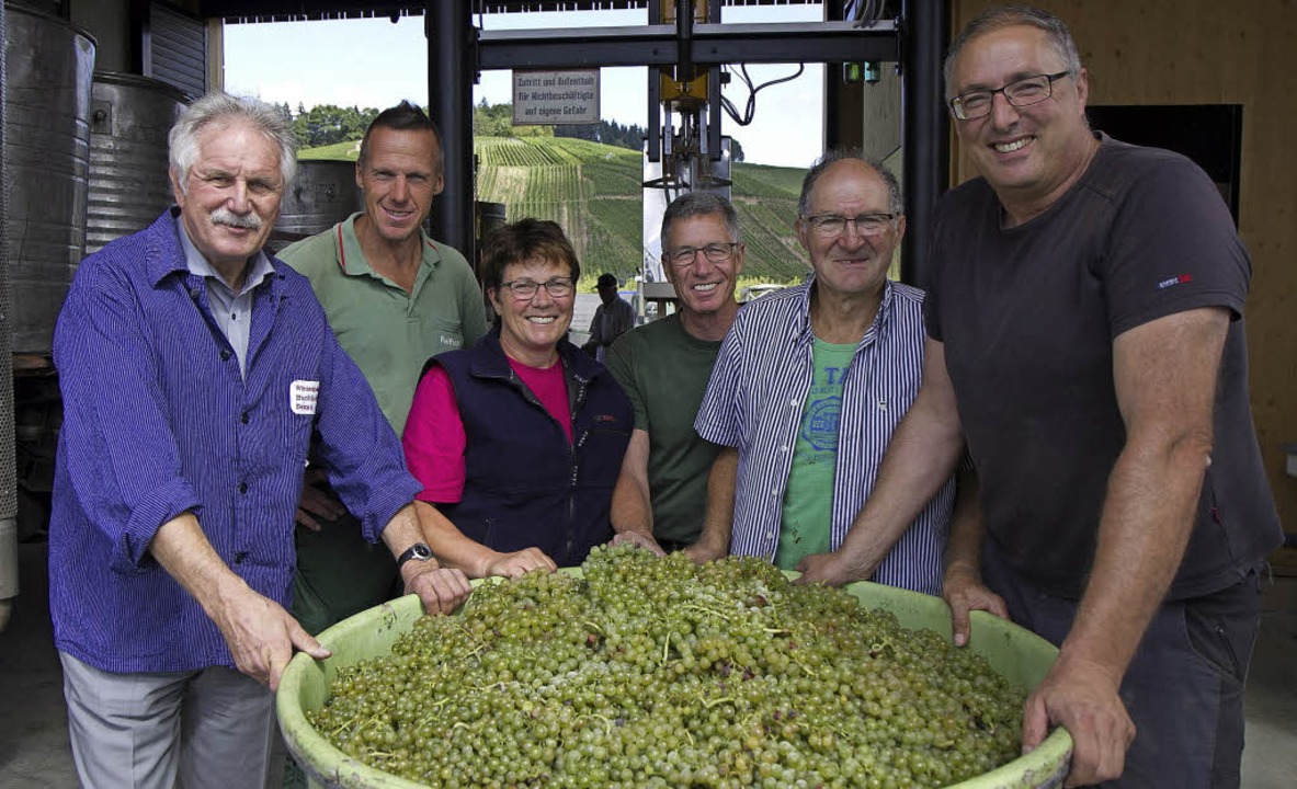 Guter Jahrgang in Aussicht - Waldkirch - Badische Zeitung