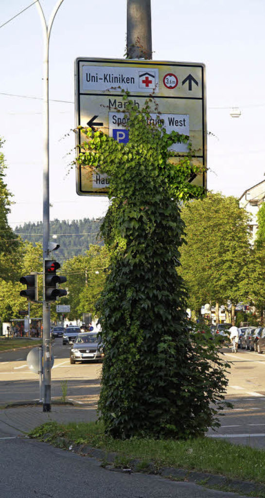 Der Ruf der Green City - Freiburg - Badische Zeitung