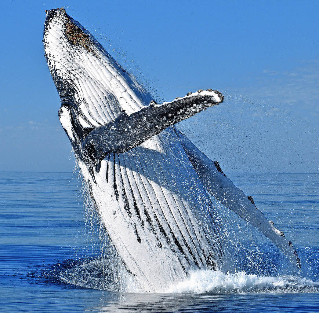 Aus der Traumzeit - Reise - Badische Zeitung