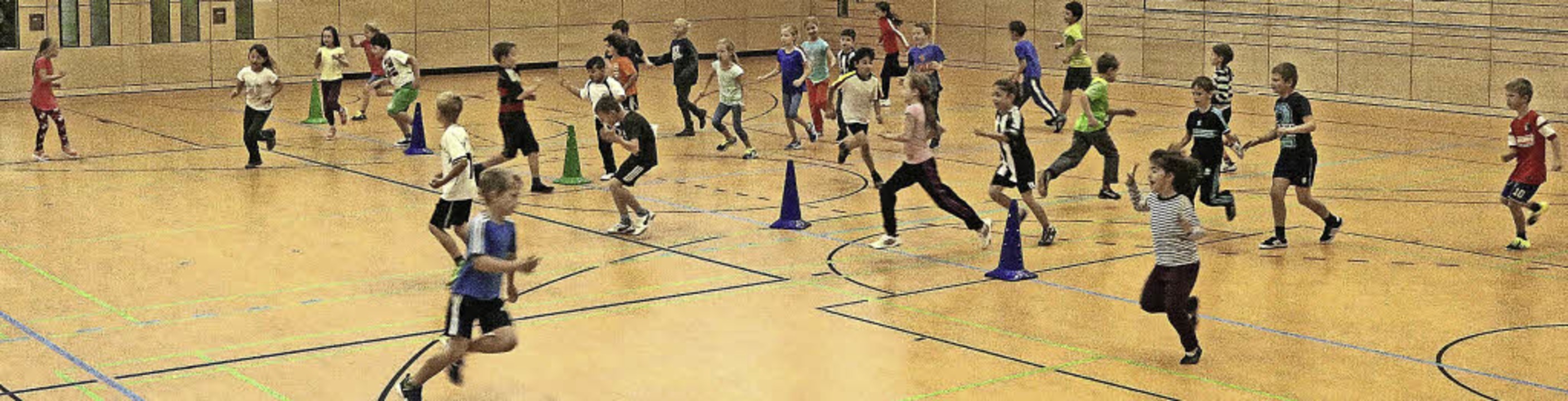 Ein großer Wurf für den Handballsport - Steinen - Badische Zeitung