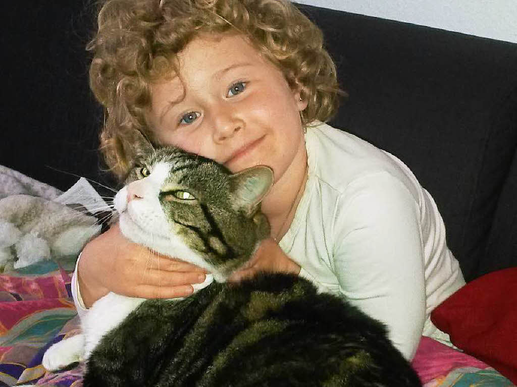 Kater Max aus Weil: Fünfmal in den Kopf geschossen - Weil am Rhein ...