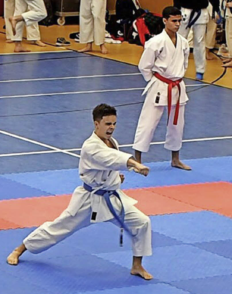 Landesmeister im Karate - Bad Krozingen - Badische Zeitung