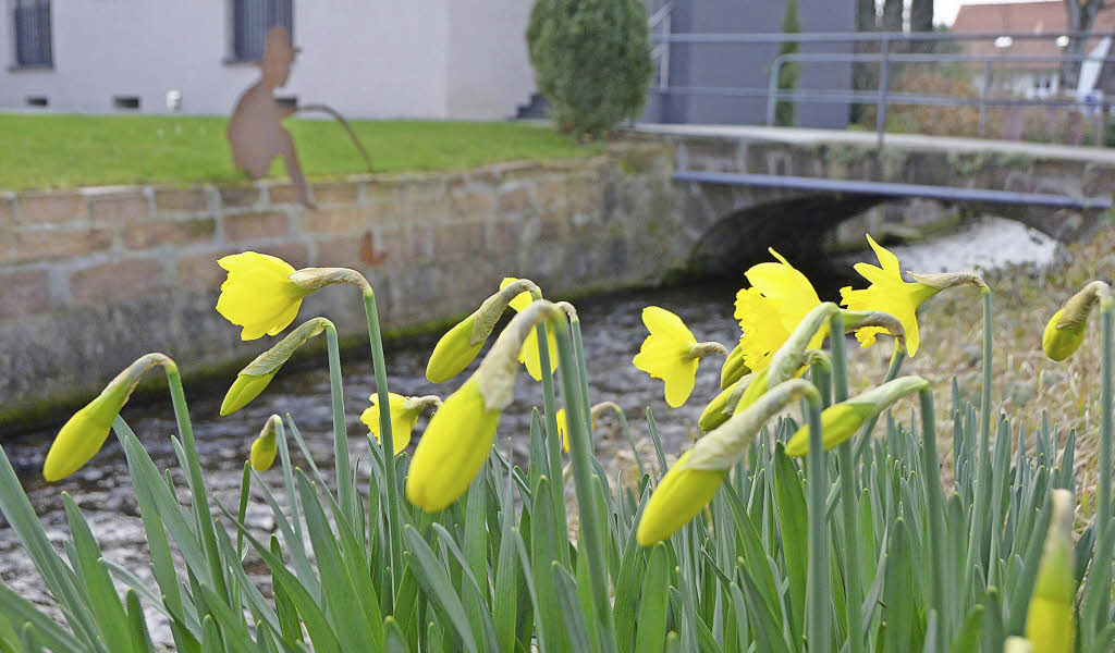 Frühling an der Glotter - Denzlingen - Badische Zeitung