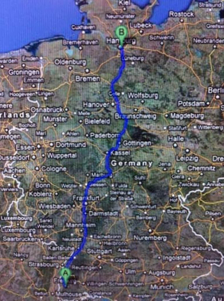 Freiburger Informatik-Professorin Hannah Bast erhält Google ...