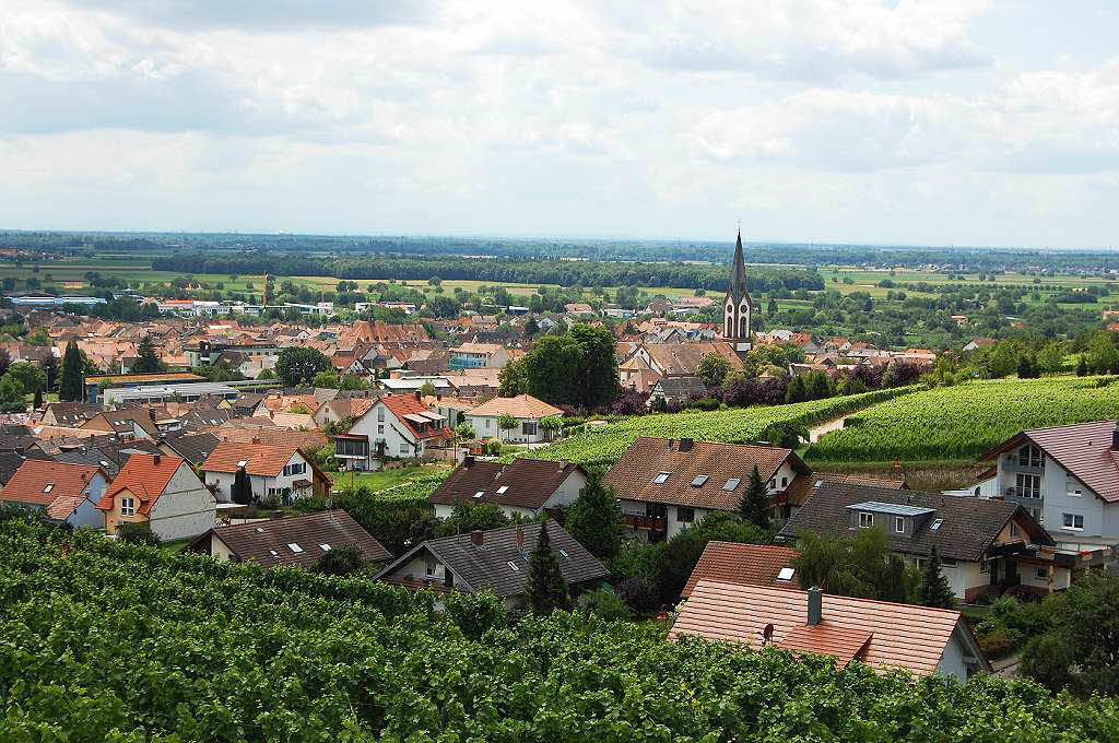 Gemeinde wird bei Touristen immer beliebter - Ihringen - Badische Zeitung