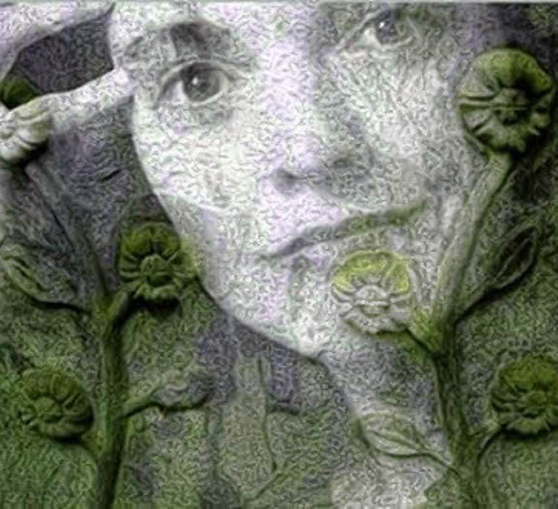 Zyankali - Ortenaukreis - Badische Zeitung