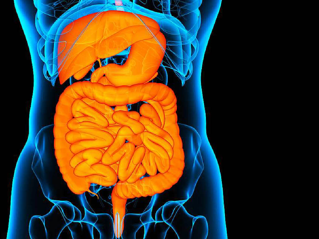 Die meisten Bauch-OPs betreffen den Blinddarm - Gesundheit & Ernährung ...