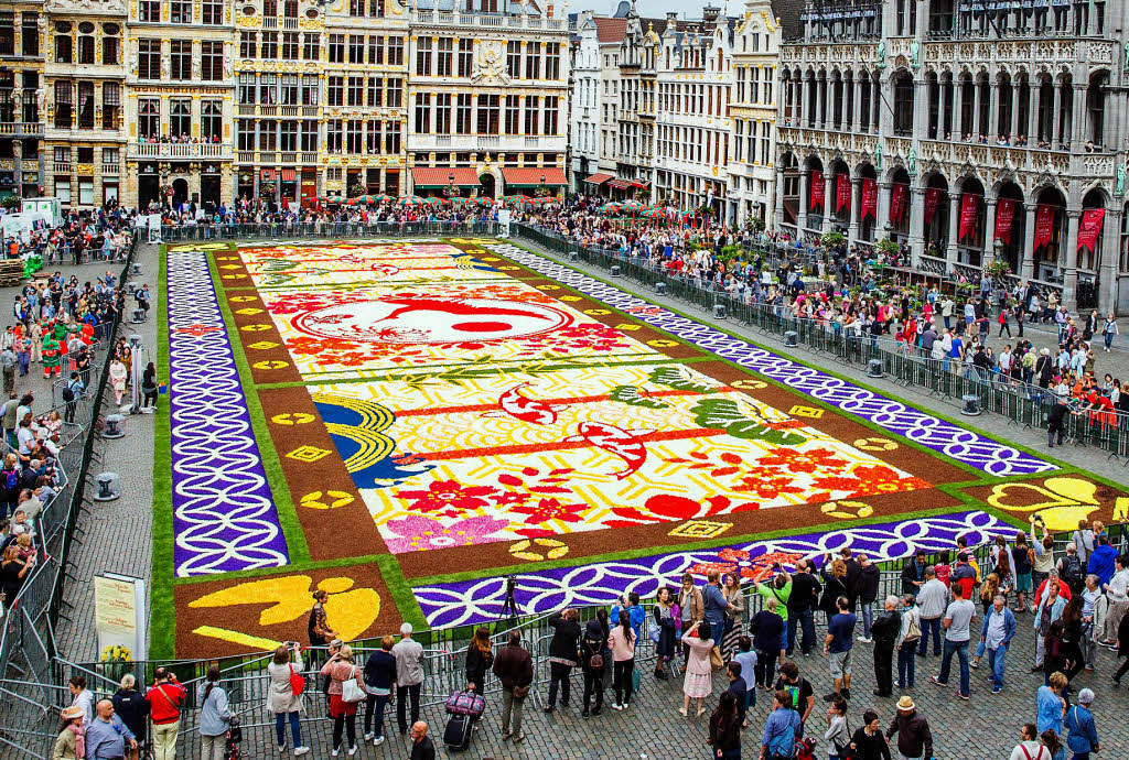 Blumenteppich in Brüssel - Panorama - Badische Zeitung