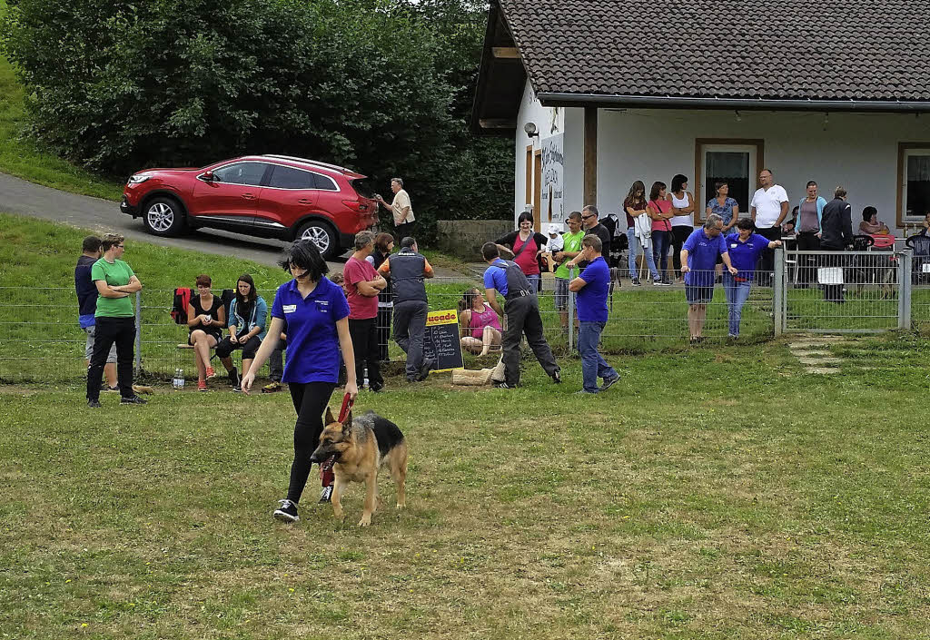 Gut folgen, gehorchen, aufpassen und schnell reagieren - Elzach ...