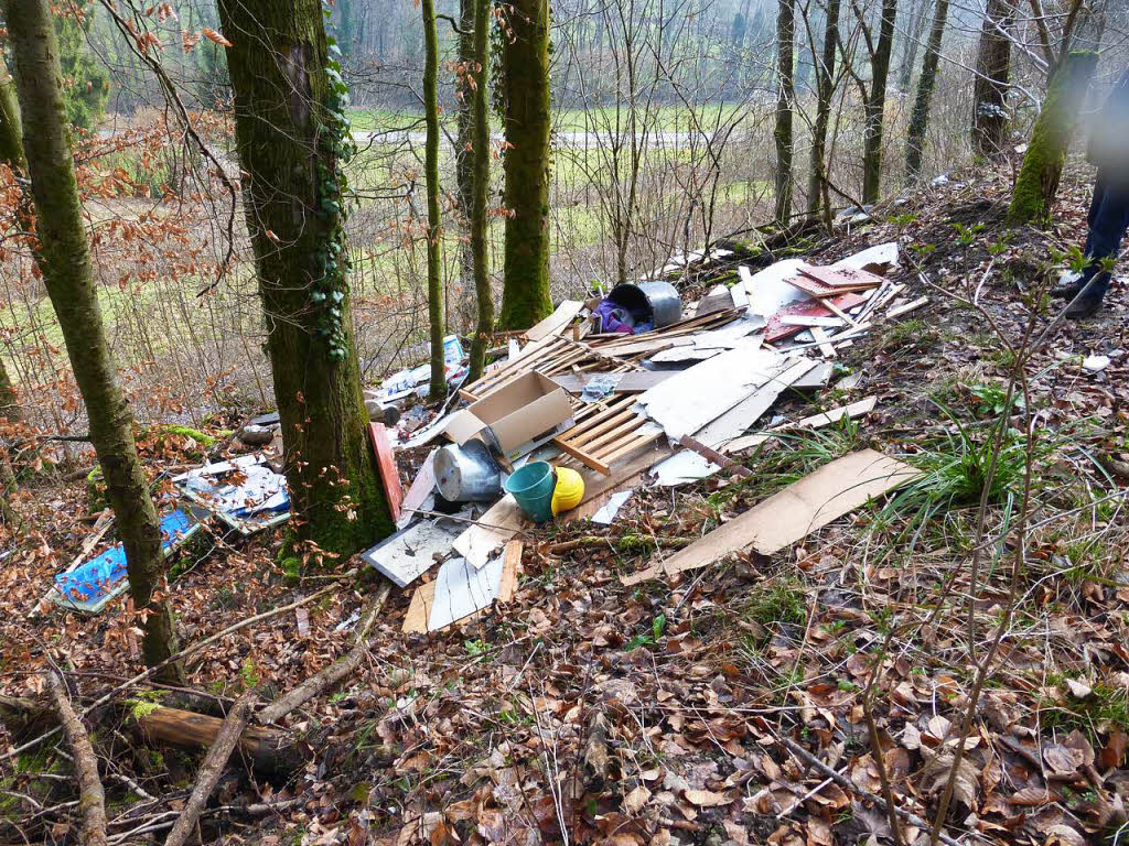 Wenn der Wald zur Müllkippe wird - Rheinfelden - Badische Zeitung