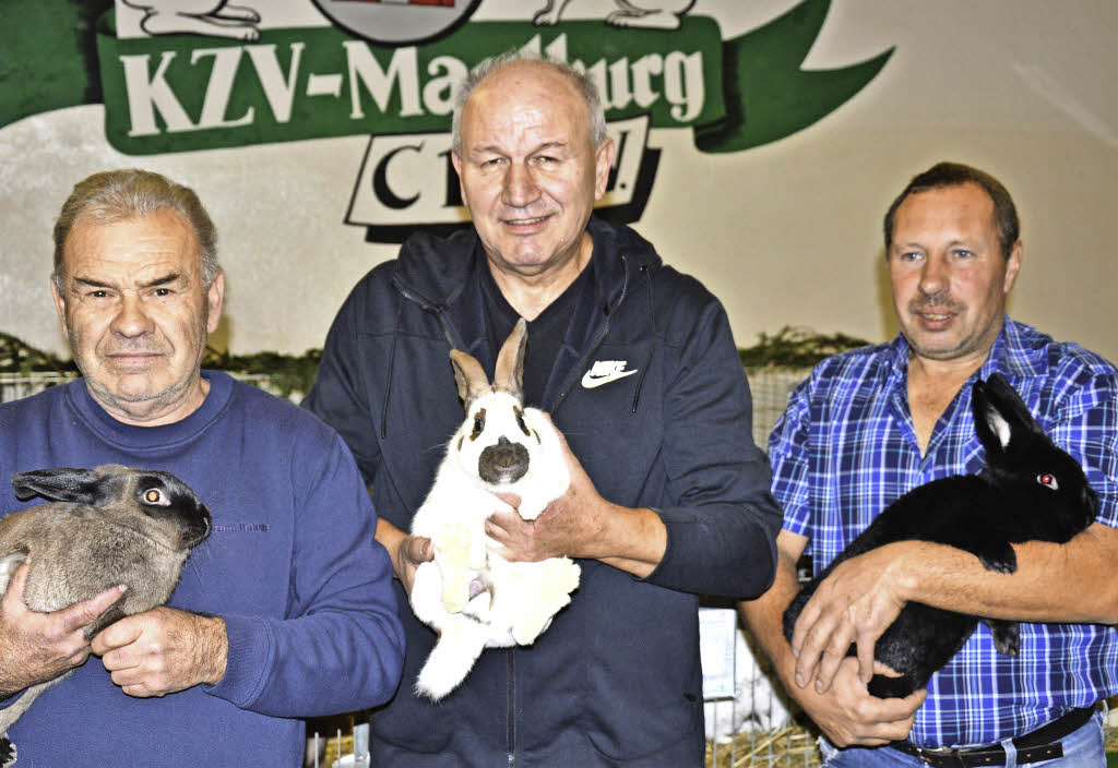 Die beste Häsin und die beiden besten Rammler - Maulburg - Badische Zeitung