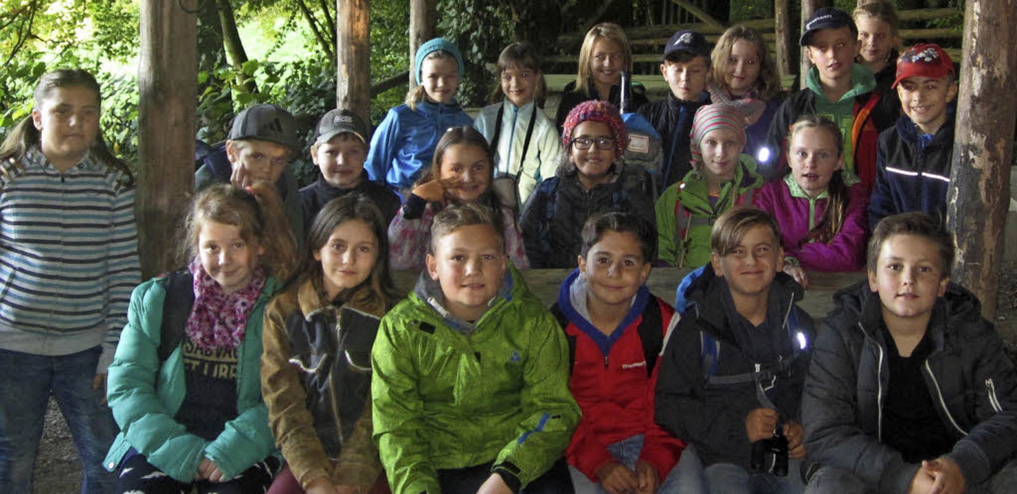 Ein spannender Tag im Wald - Zisch-Texte - Badische Zeitung