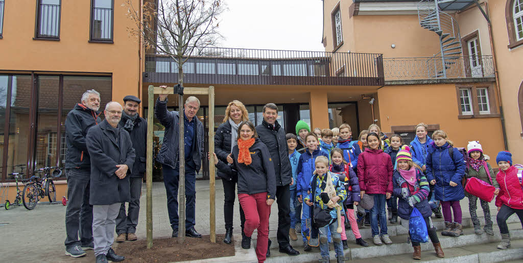 Neue Linde für die Grundschule Ettenheim - Ettenheim - Badische Zeitung