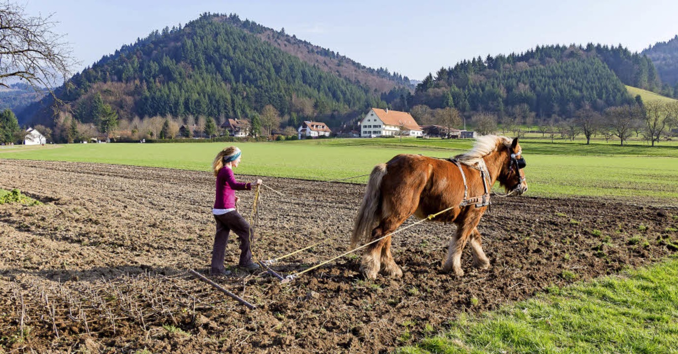 Im Märzen der Bauer... - Staufen - Badische Zeitung