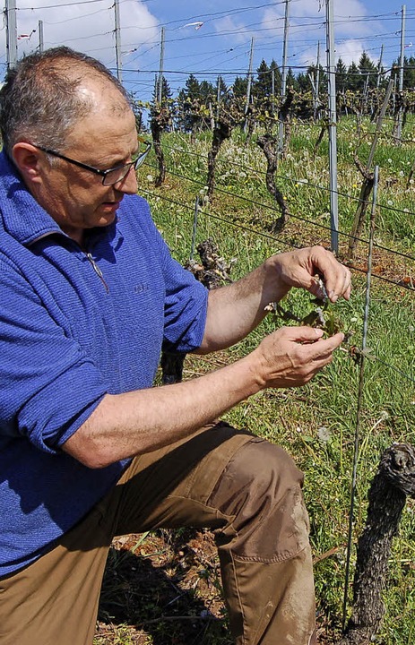 "Katastrophal!" - Kreis Emmendingen - Badische Zeitung