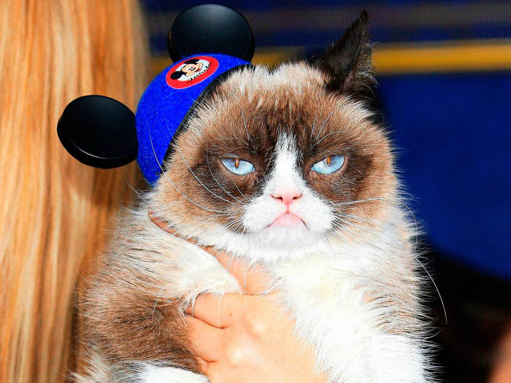 Therapeut Michael Titze: "Humor hat ein sehr kämpferisches Potential ...