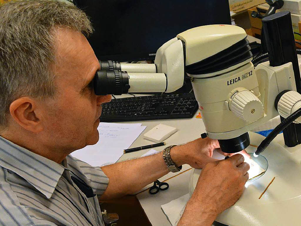 Daniel Burckhardt aus Basel ist Experte für Blattflöhe - Basel ...