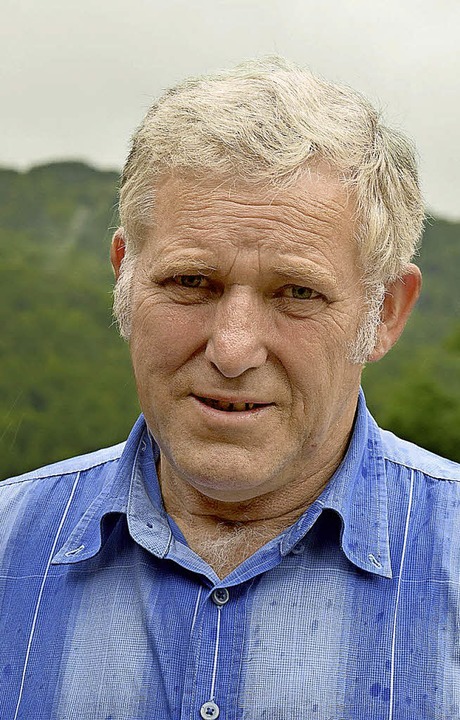 170 Rinder genießen Sommerfrische auf der Alp - Stühlingen - Badische ...