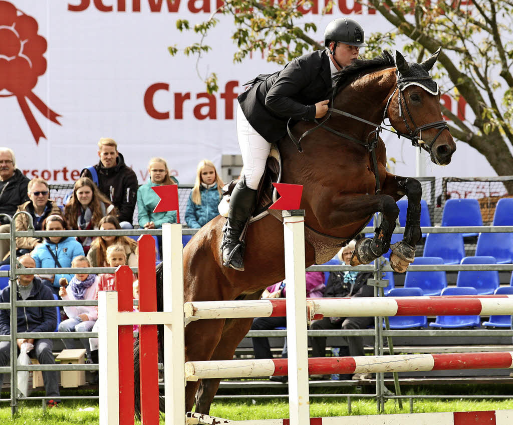 Maximilian Benz dominiert die Ortenauer Ringmeisterschaft - Reitsport ...