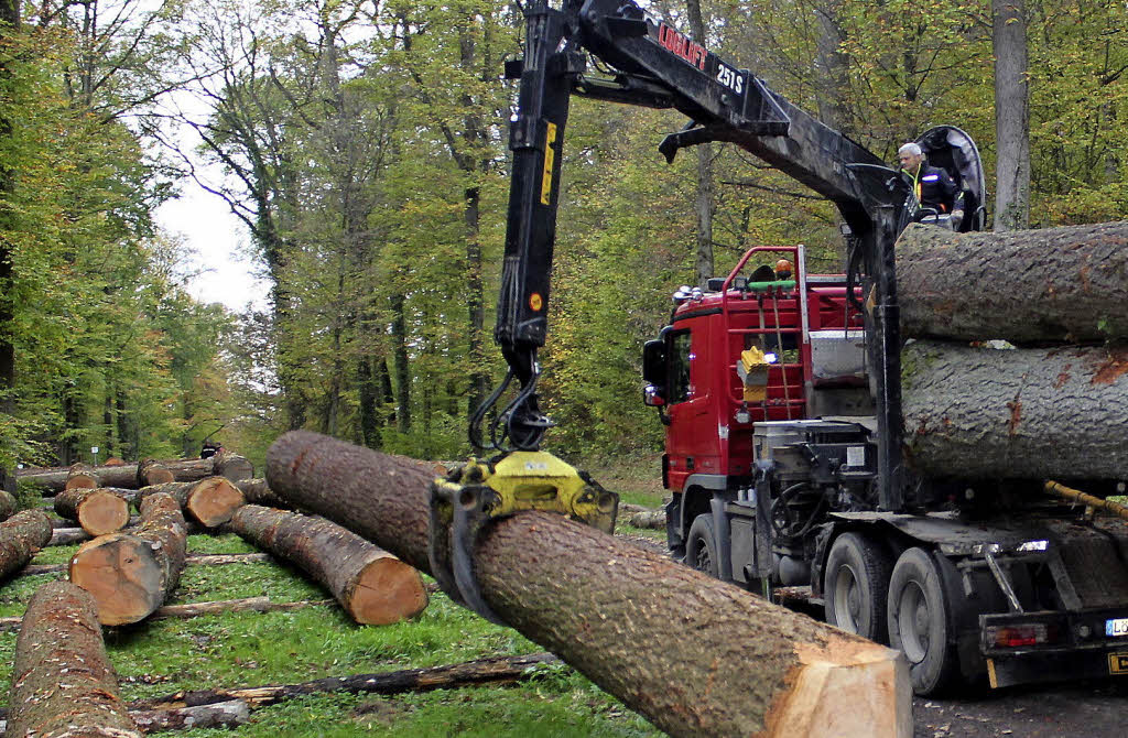 Für Stammholz jeder Art gibt es derzeit gute Preise - Kandern ...