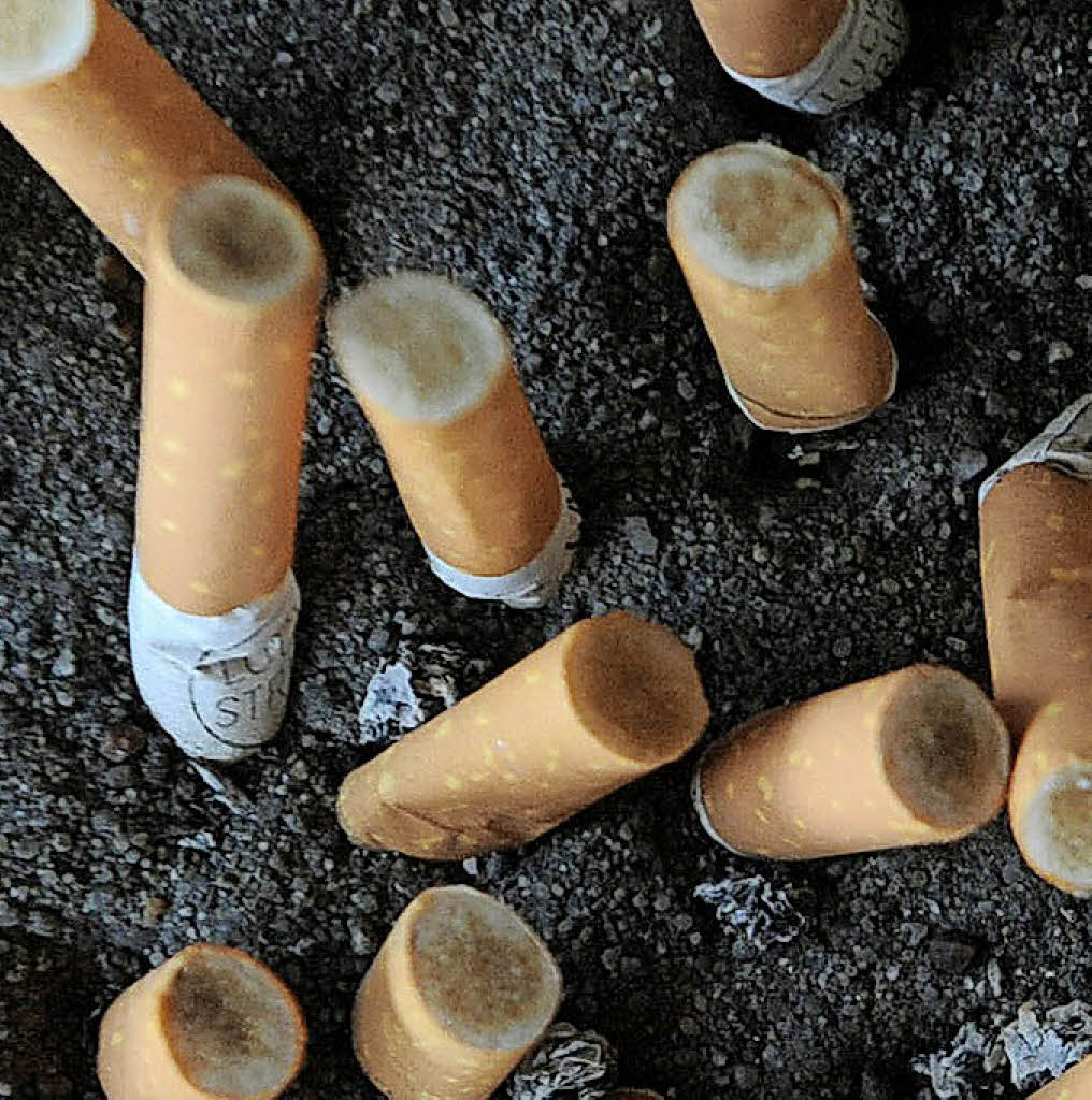 Zu wenig Grün, zu viel Schmutz - Schwanau - Badische Zeitung