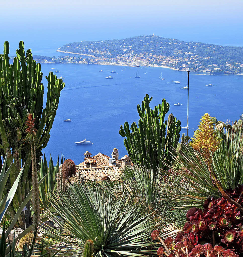 Exotik an der Riviera - Reise - Badische Zeitung