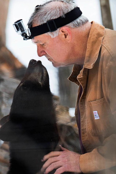 Wie ein Bärenkenner schon 165 junge Schwarzbären aufgezogen hat ...