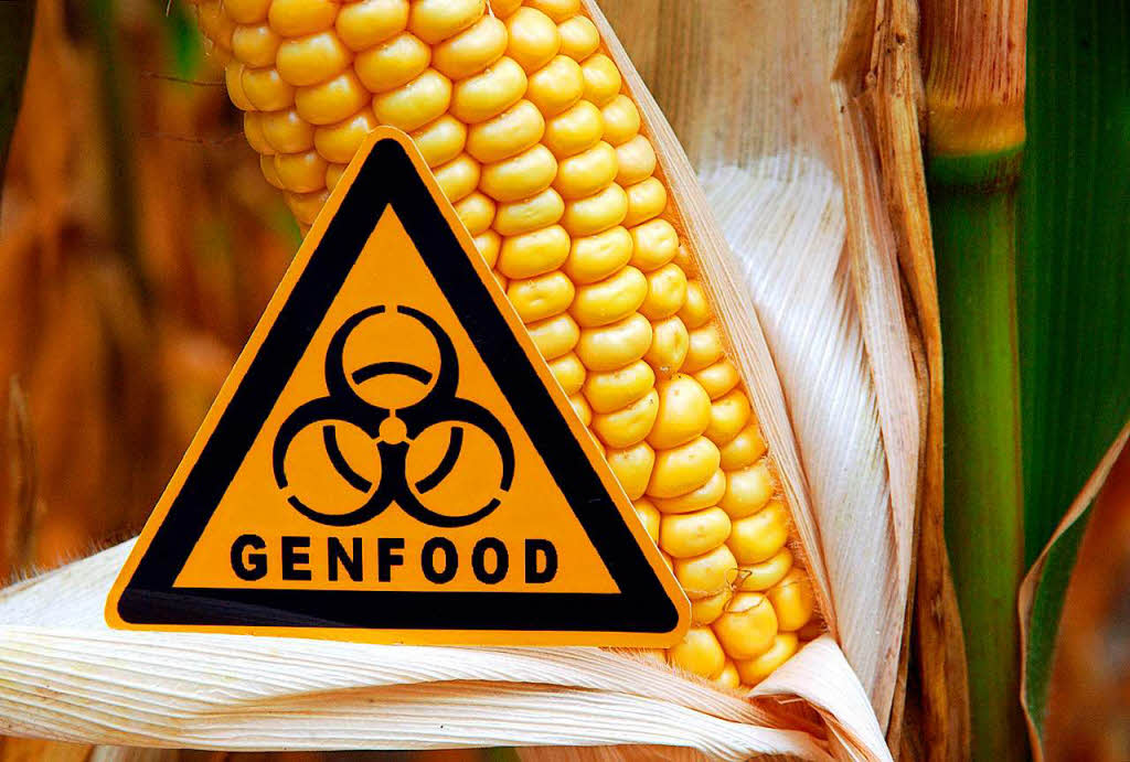 Warum sich ein Nobelpreisträger für genmanipulierte Pflanzen einsetzt ...