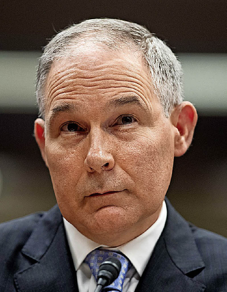 "Sumpfig, wie man nur sumpfig sein kann" - Ausland - Badische Zeitung