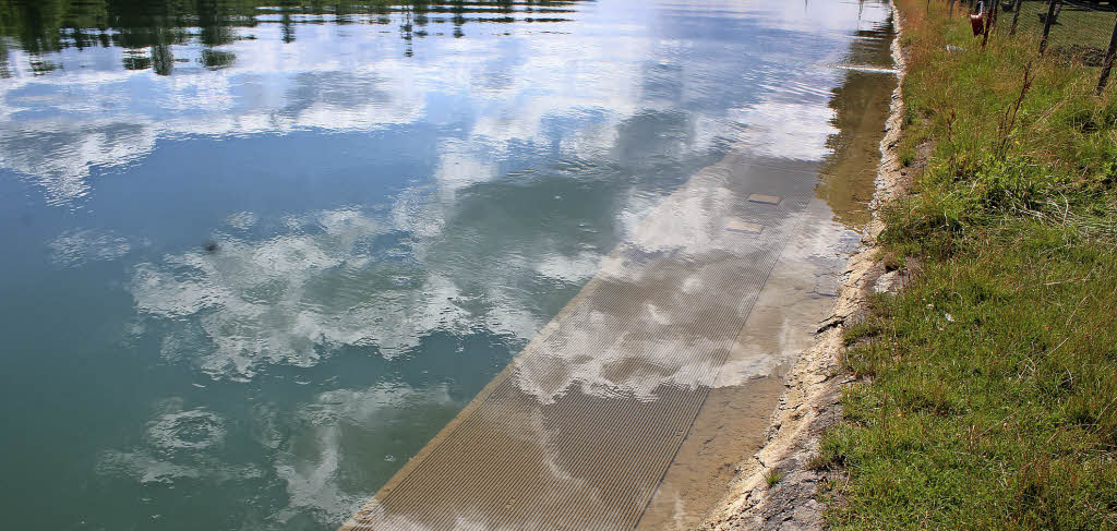Schwörstadt berät Zukunft der Berme - Schwörstadt - Badische Zeitung