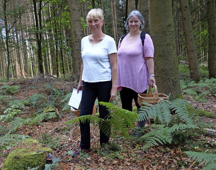 Ein Reich, in dem man sich verlieren kann - Bad Säckingen - Badische ...