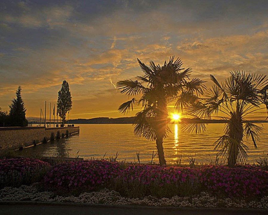 Freizeittipps der Woche - Freizeittipps und Feste (TICKET) - Badische ...