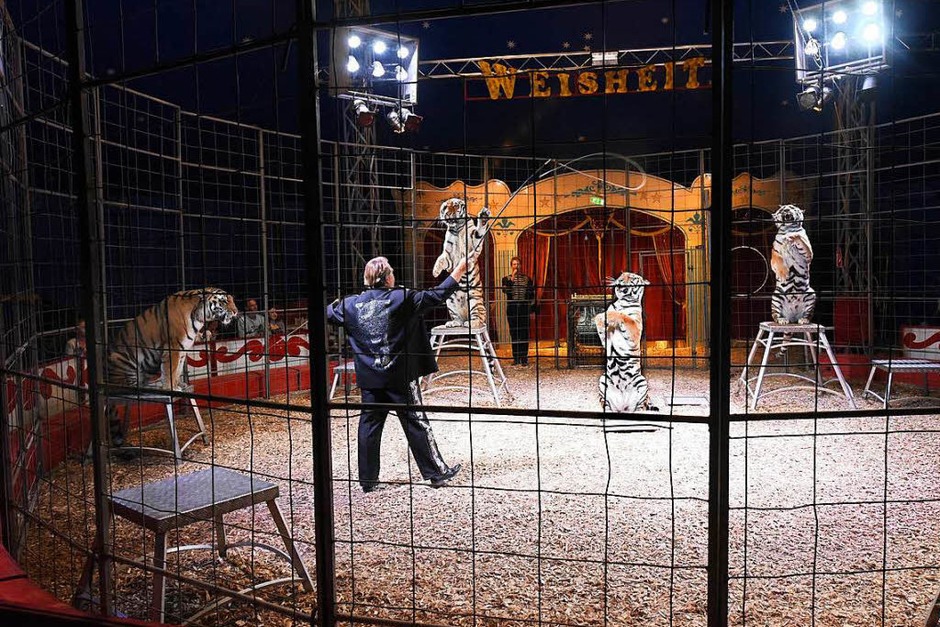 Fotos: Circus Manuel Weisheit gastiert auf dem Messegelände Freiburg ... Fotos: Circus Manuel Weisheit gastiert auf dem Messegelände Freiburg ...