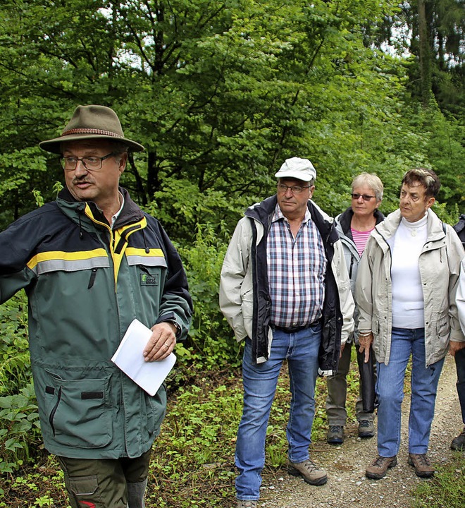Im Hertener Wald tut sich einiges - Rheinfelden - Badische Zeitung