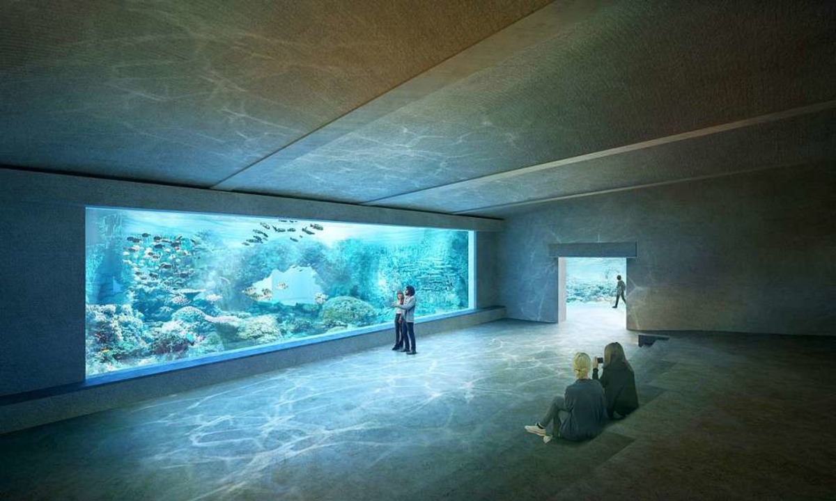 Warum das geplante Ozeanium eine Chance für Basel und den Zoo sein kann ...