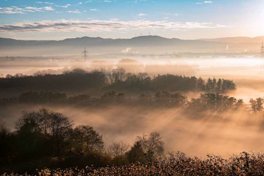 Ein Blick in den Freiburger Osten - Freiburg - Badische Zeitung