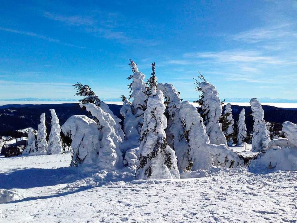 Winterliche Pracht auf dem Feldberg - Feldberg - Badische Zeitung