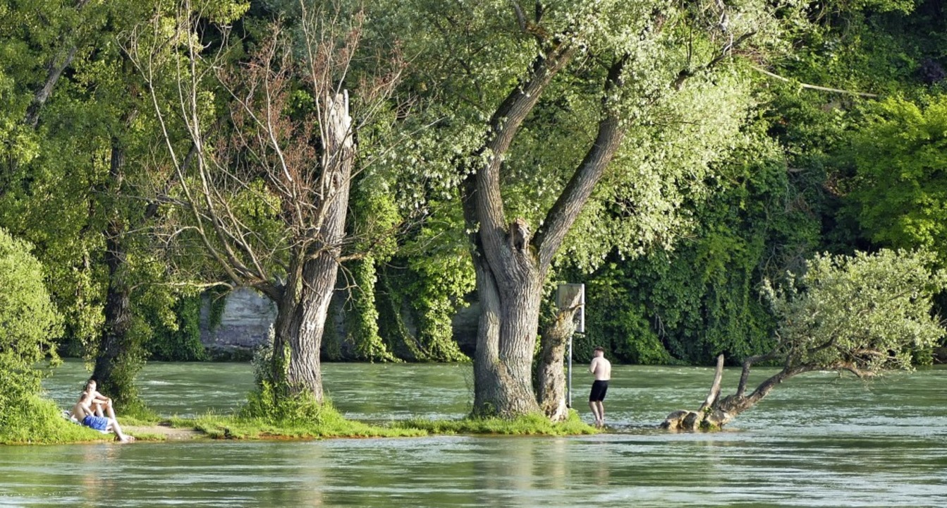Viel Wasser im Rhein - Rheinfelden - Badische Zeitung