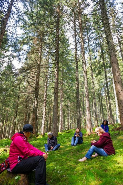 Eintauchen ins Grün: Waldbaden im Forst nahe des Schluchsees - Titisee ...