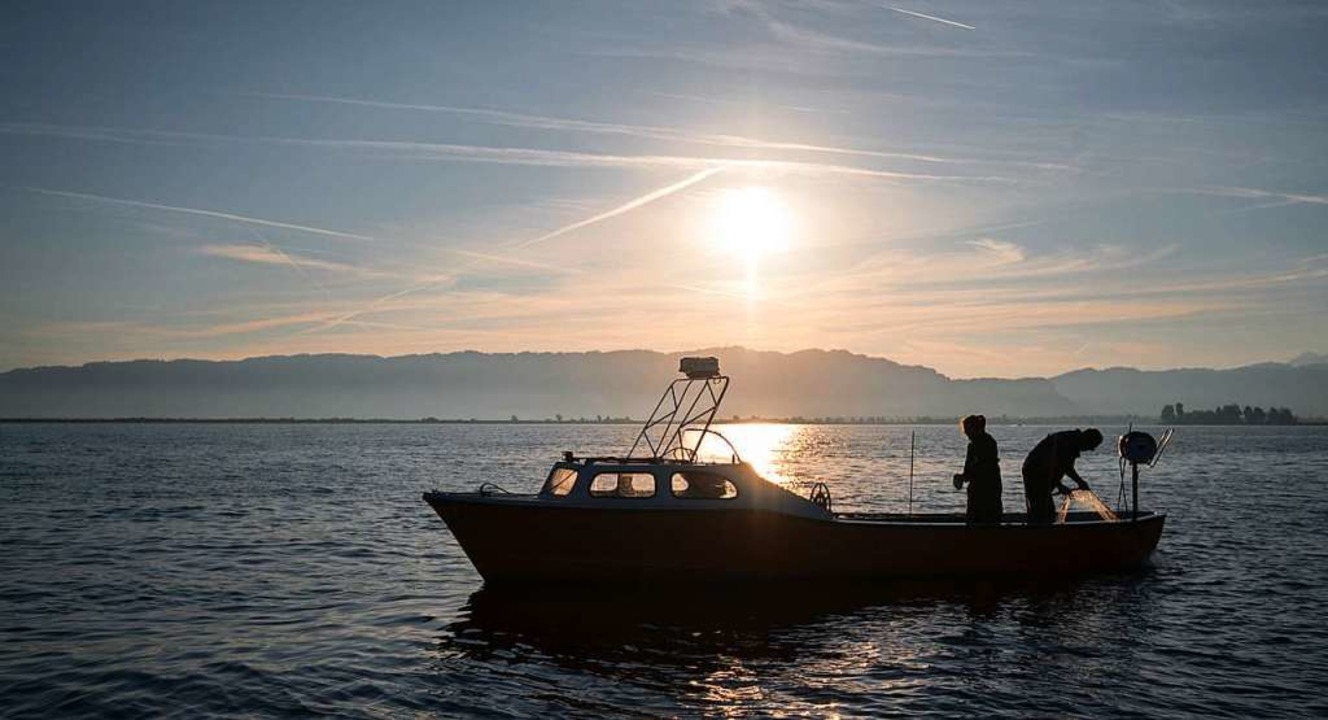 Was schwimmt denn da alles? Forscher machen Inventur im Bodensee ...