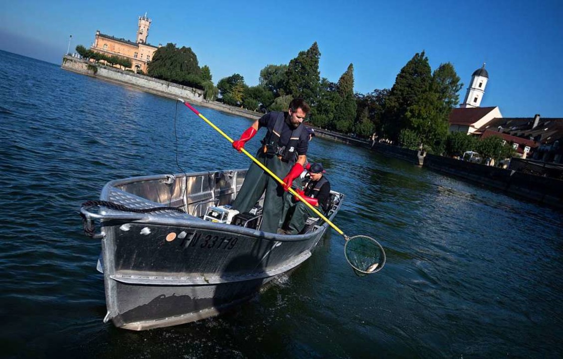Was schwimmt denn da alles? Forscher machen Inventur im Bodensee ...
