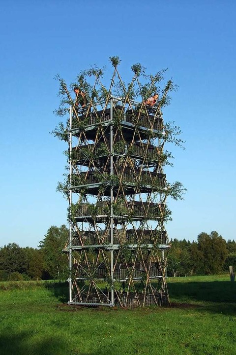 Können lebende Bäume tragende Elemente von Bauwerken sein? - Umwelt ...