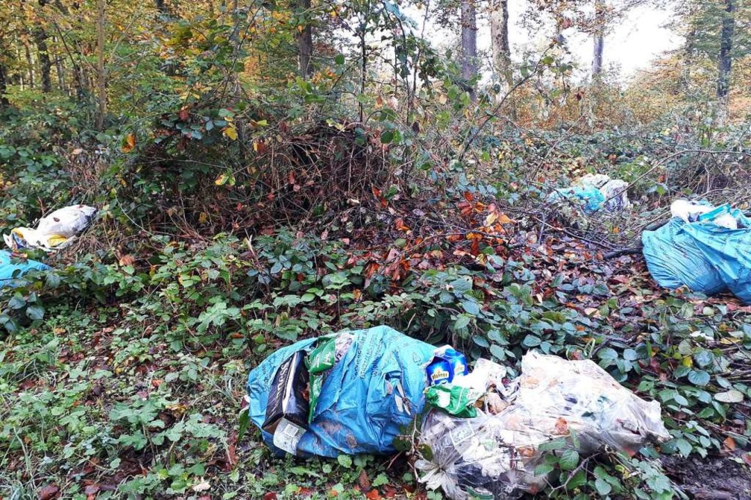 Immer wieder wird in Rheinfelden sackweise Müll im Wald abgeladen - Rheinfelden - Badische Zeitung