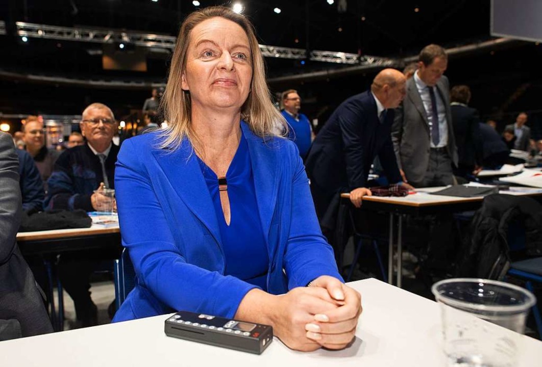 Wer wird an der Spitze der AfD stehen? - Deutschland - Badische Zeitung