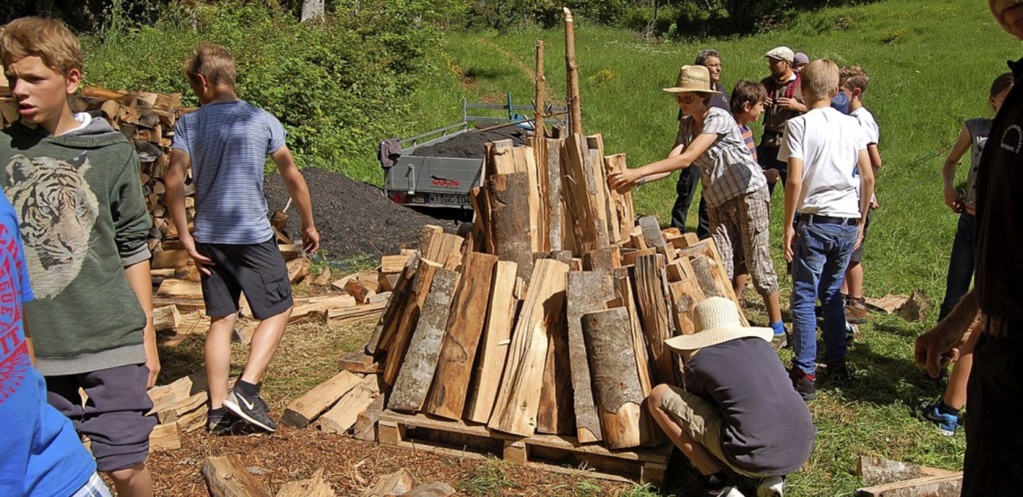 Viel Zulauf für Waldorfverein - Dachsberg - Badische Zeitung