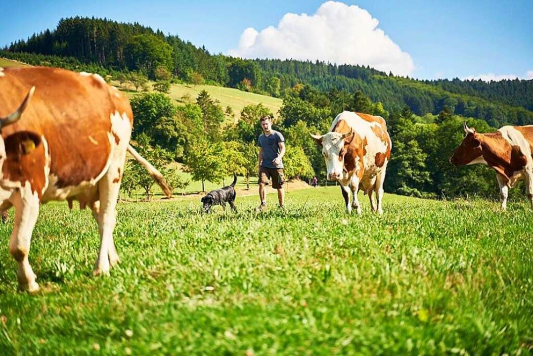"Jede Kuh ist eine echte Persönlichkeit" – wissen die Milchbauern ...