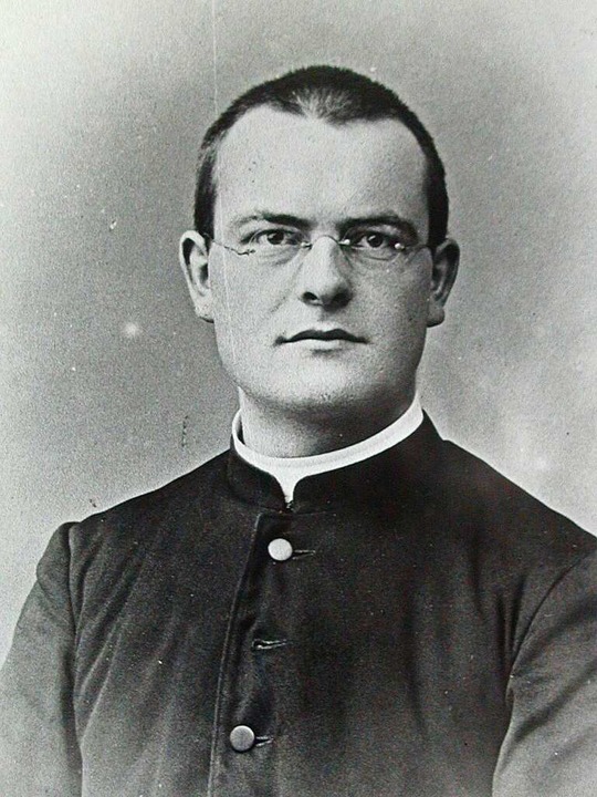 Auszüge aus dem Tagebuch des ermordeten Dekans Willibald Strohmeyer ...