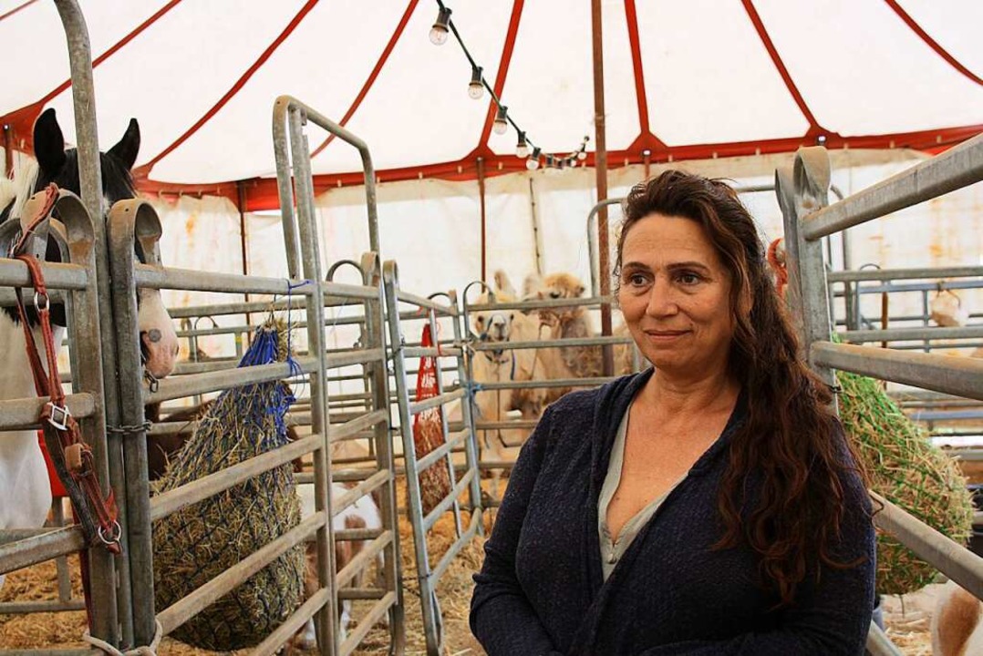 Der Circus Kaiser sitzt wegen des Coronavirus in Endingen fest ...